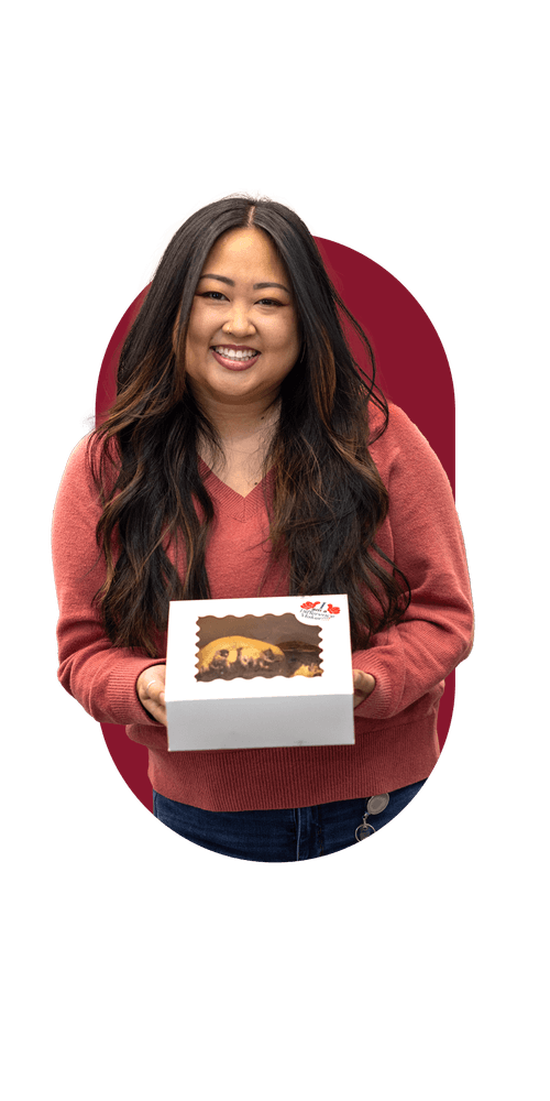 American Fidelity Annual Report